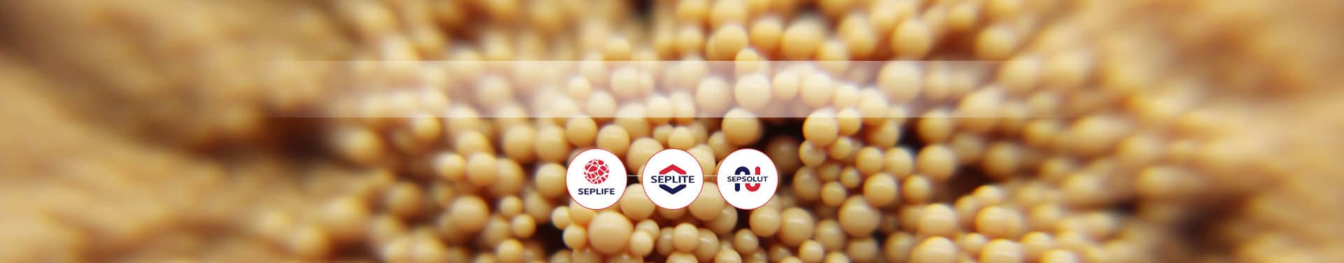 Comment utiliser les résines catalytiques - Seplite France